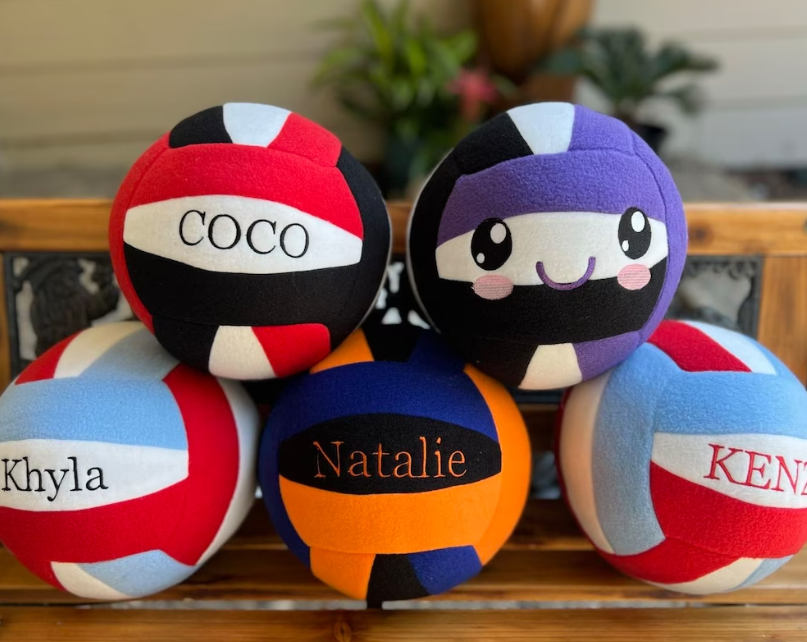 11 Best Volleyball Gifts for Enthusiasts and Players